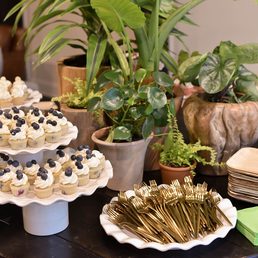 Shop For Baby Smith Curated Gathering | Coton Colors